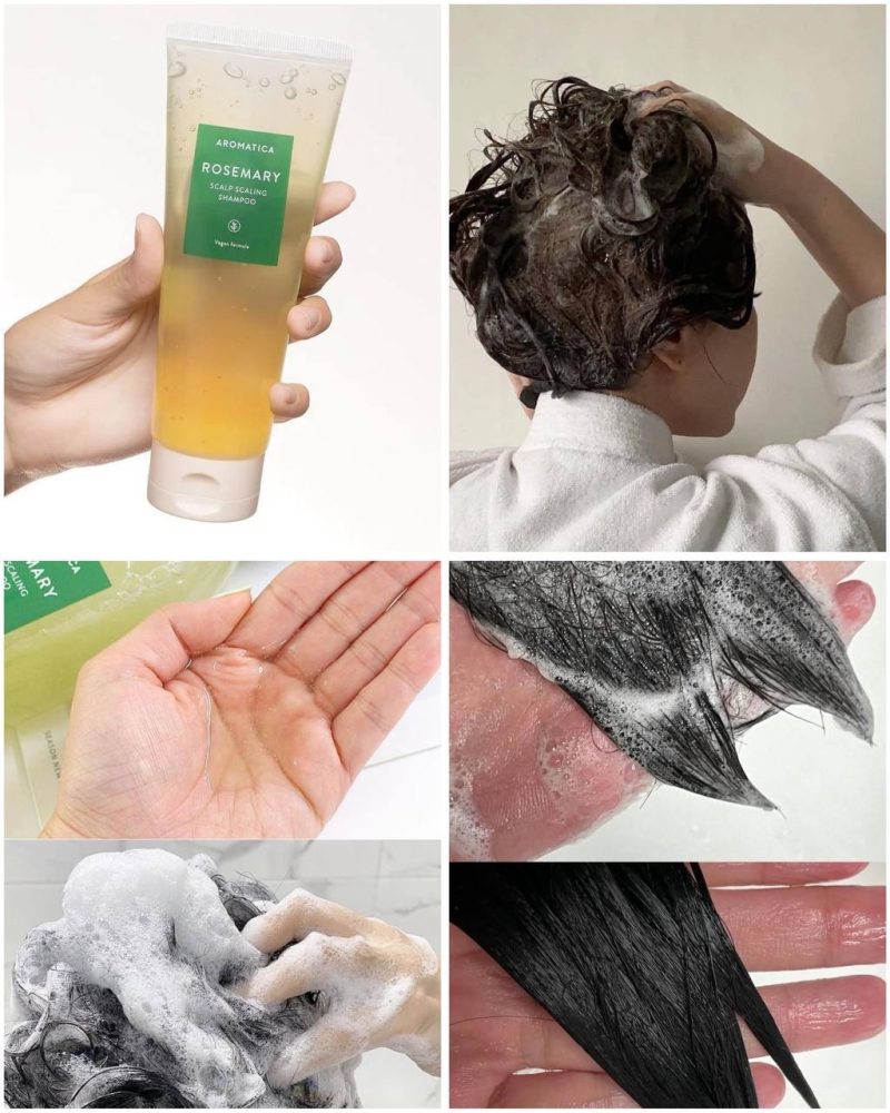 Aromatica rosemary scalp scaling shampoo – روز كوزمتك